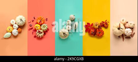 Collage with many pumpkins, leaves and flowers on color background ...