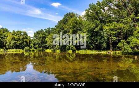 Historic park surrounding XVI century Rozalin Palace with vintage trees ...
