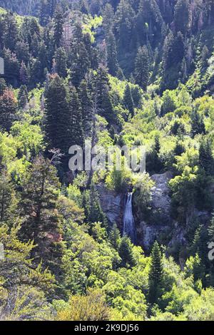 Horsetail Falls cascade down the cliffs in Lone Peak Wilderness along ...