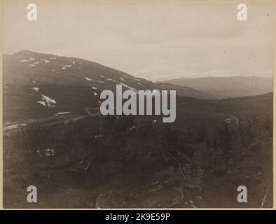 SJ's track building of the Torpshammar border (Storlien) line at ...