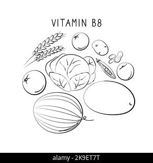 Vitamin B8 Inositol. Groups of healthy products containing vitamins ...