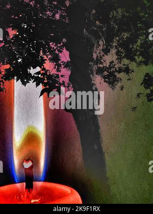 Forest fire natural disaster concept - burning fire in the woods on ...