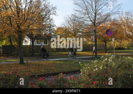 Copenhagen/Denmark/28 October 2022/Autumn or fall colour of tree and ...