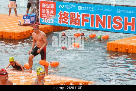 1500 swimmers making waves during New World Harbour Race starting from ...