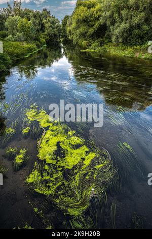 The River Moder in Alsace, France Stock Photo - Alamy