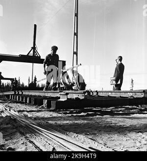 Tracking in Svappavaara Stock Photo - Alamy