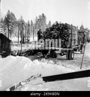 Loading of timber from truck to freight wagon with puller timber ...