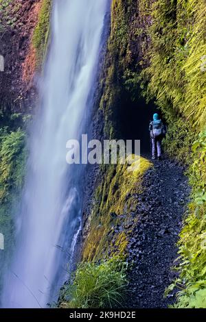 Approaching spectacular Tunnel Falls, Pacific Crest Trail, Oregon, USA ...