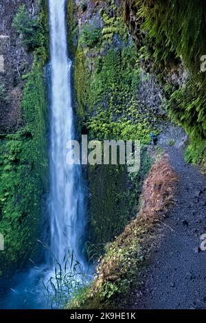 Spectacular Tunnel Falls, Pacific Crest Trail, Oregon, USA Stock Photo ...