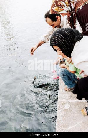 Şanlıurfa, Turkey. August 20, 2006. Some pictures of daily life in the ...