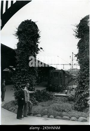The Garden Director When planting at Stockholm Central Station Stock ...