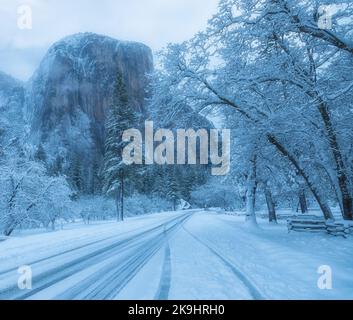 A serene winter scene unfolds in Gothenburg, as gentle snowfall covers ...