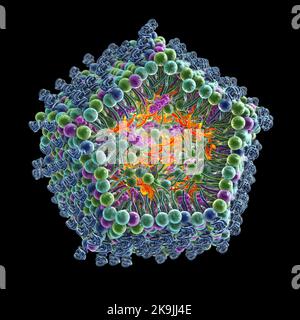 siRNA lipid nanoparticle antiviral, illustration Stock Photo - Alamy