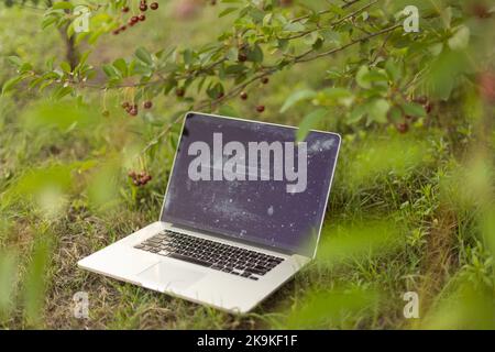 Laptop on green grass laptop and cherry tree Stock Photo - Alamy