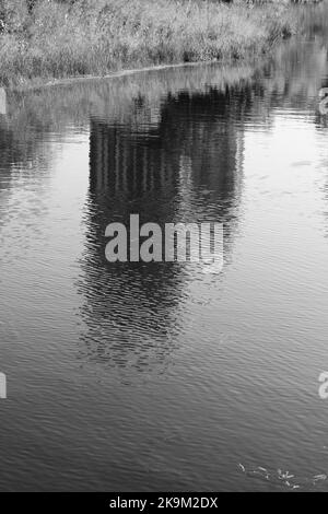 A tall building reflecting in the shallow water of the local pond in a ...