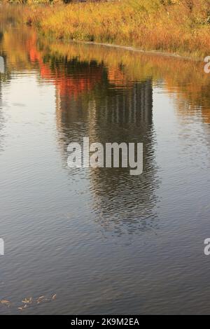A tall building reflecting in the shallow water of the local pond in a ...