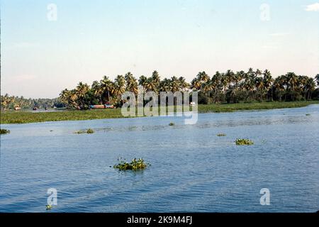 Eleepy, Back Waters, Kerala, India Stock Photo - Alamy