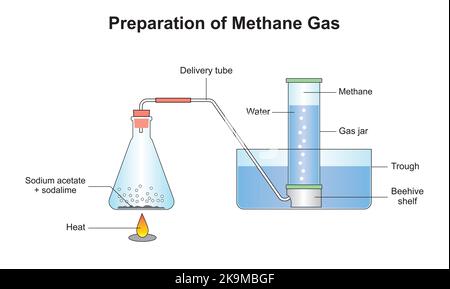 Scientific Designing of Preparation of Methane Gas. Colorful Symbols ...