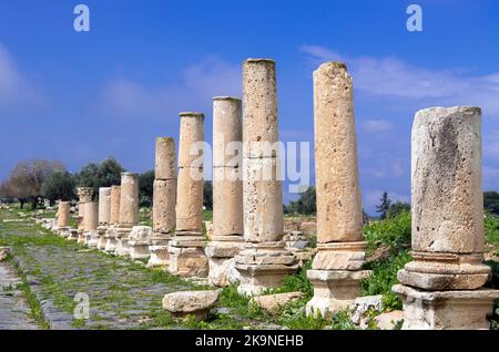 Roman columns Umm Qais (Gadara) Jordan 1 Stock Photo - Alamy