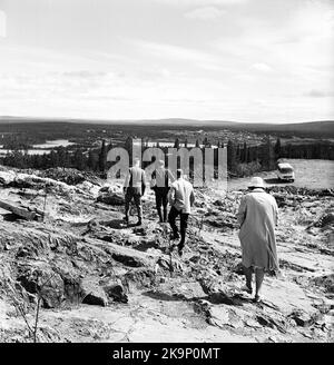 Tracking in Svappavaara Stock Photo - Alamy