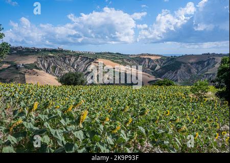 Panorama of Atri with its beautiful badlands and a field of sunflowers ...