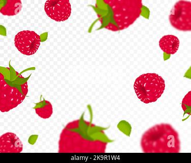 Raspberry falling from different angles. Flying raspberry with green ...