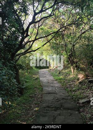 The Linkou Taiping Coastal Trail, New Taipei City, Taiwan Stock Photo ...