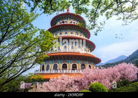 Tianyuan temple with spring cherry blossoms in Tamsui, New Taipei City ...
