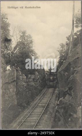 The special train at Munkekullen Stock Photo - Alamy