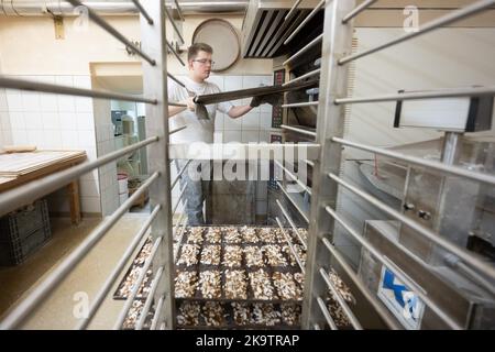 PRODUCTION - 19 October 2022, Saxony, Leipzig: Restorer and graduate ...