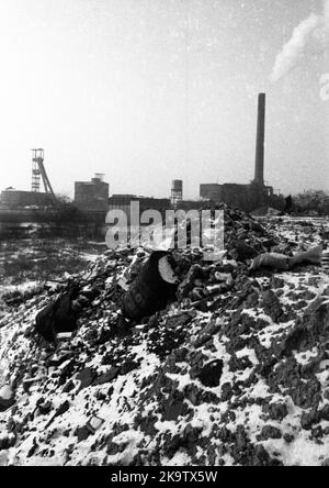 Not only rubble but also poisons were dumped at this Essen landfill ...
