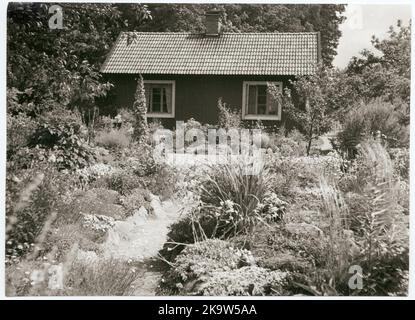 Track guard Larsson's track guard 184 B in Floby Stock Photo - Alamy