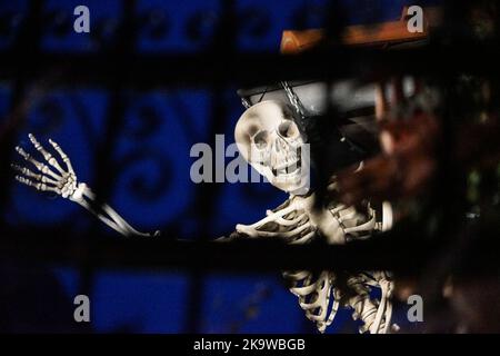 Gdansk, Poland. 29th Oct, 2022. A house decorated with themes from the ...