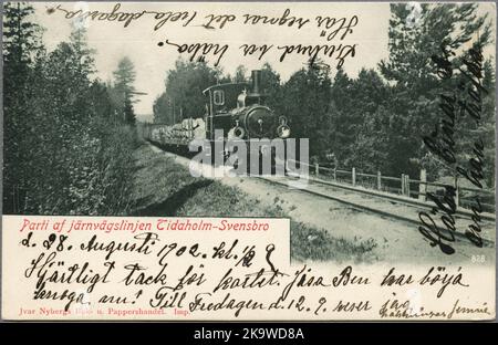 Steam locomotive with timber cars Stock Photo - Alamy