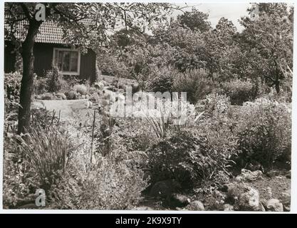 Track guard Larsson's track guard 184 B in Floby Stock Photo - Alamy