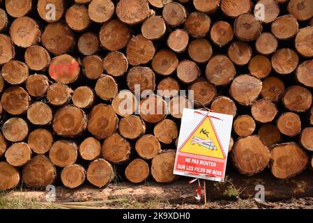Safety sign on stacked cut timber Stock Photo - Alamy