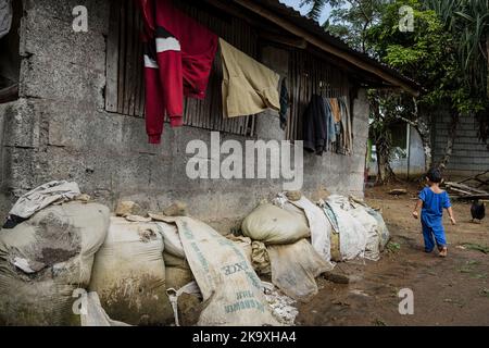 Aetas tribe, Negros island, Philippines Stock Photo - Alamy