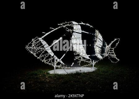 A fish as an illuminated decoration made of fairy lights at the light ...
