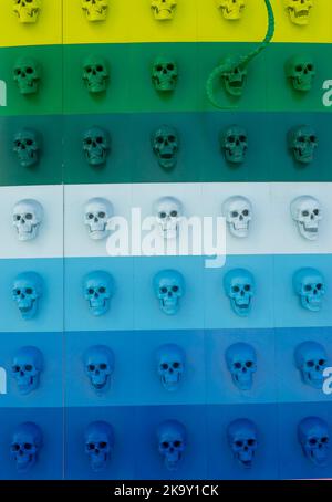 A collection of multi-colored skulls laid out in a line. Halloween ...