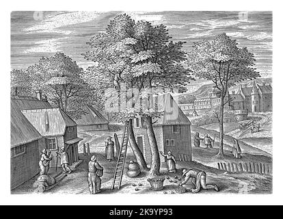 September men and women picking fruit in an orchard., Jan Caspar ...