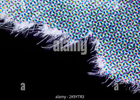 paper structure under the microscope offset printing Stock Photo - Alamy