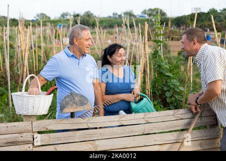 Three neighbours farmers talking together near wooden fence in garden ...