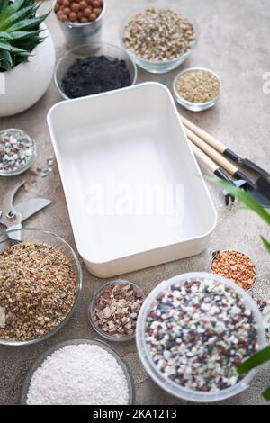 plastic box for soil substrate preparation for transplanting ...