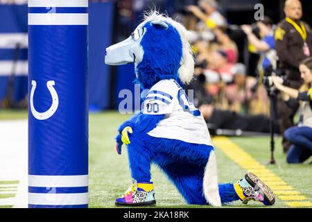 Indianapolis, Indiana, USA. 30th Oct, 2022. Indianapolis Colts ...