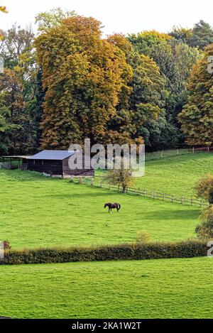 The remote countryside at Ranmore Common in the Surrey Hills on an ...