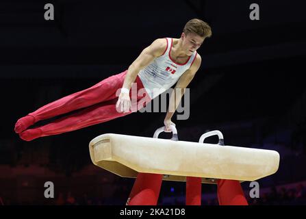 Canada's Felix Dolci during the Men's Vault Final at Arena Birmingham ...