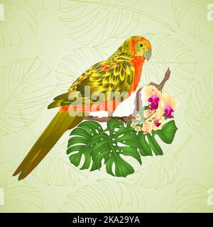 Bird tropical Parrot Sun Conure natural and outline and silhouette on a ...