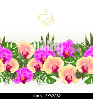 Floral border seamless background orchids flowers purple and white ...