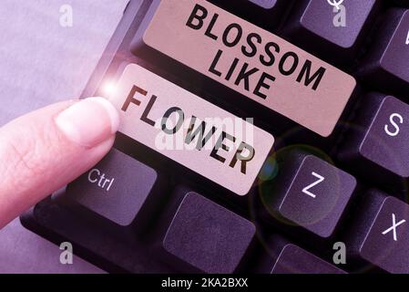 Inspiration showing sign Blossom Like Flower. Conceptual photo person ...