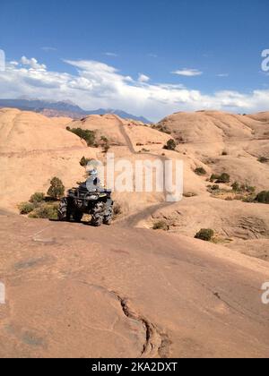 A vertical shot of a car riding through a foggy forest on a narrow ...